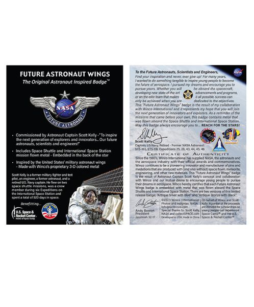 Nasa Astronaut Wings Logo