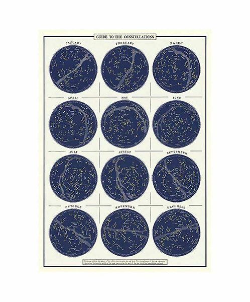 Constellations Poster Kit