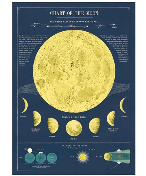 Chart of the Moon Poster